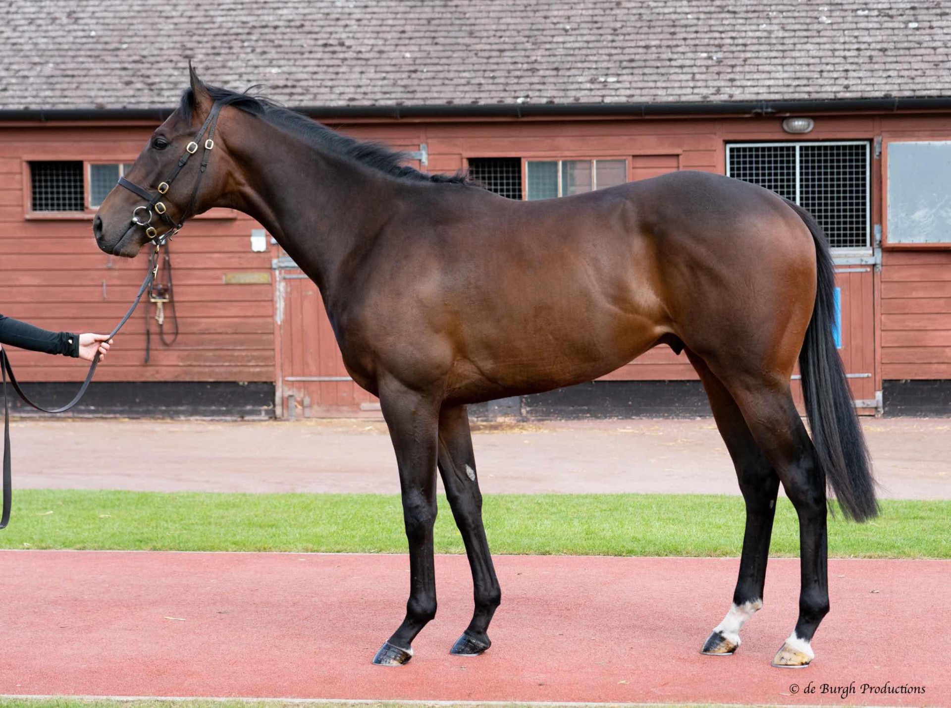 Time Test Colt Makes Stylish Debut