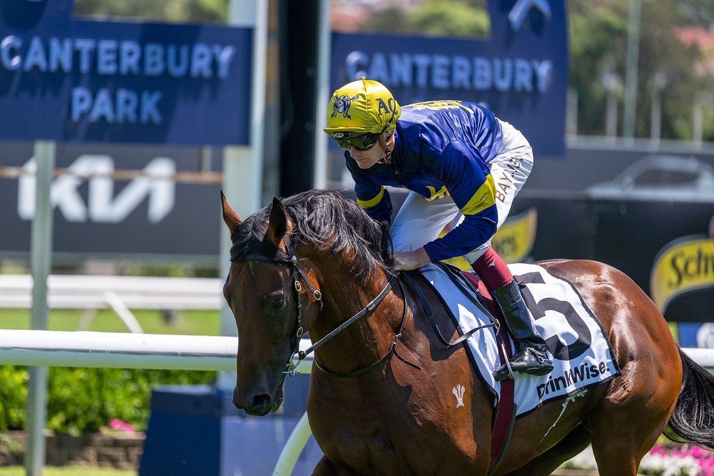 TIMES TEST THURSDAY - The Years