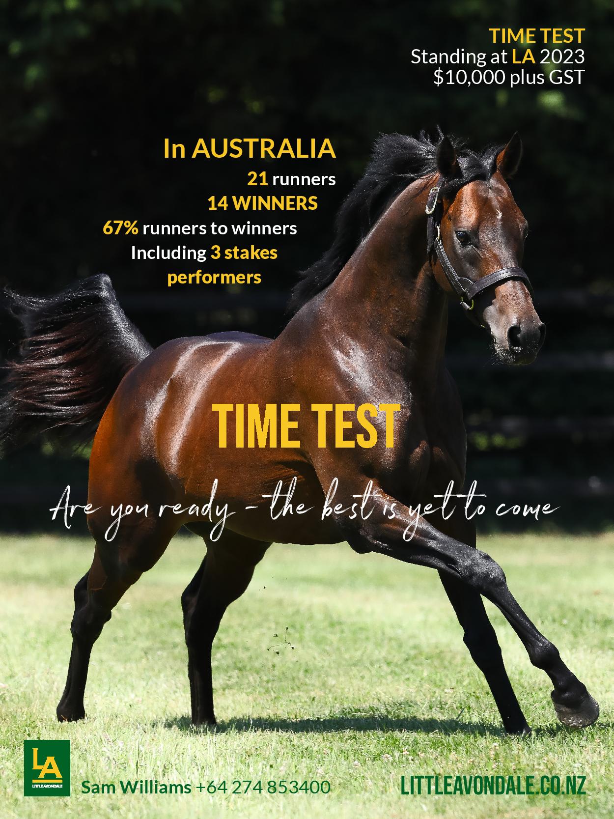 Little Avondale Stud