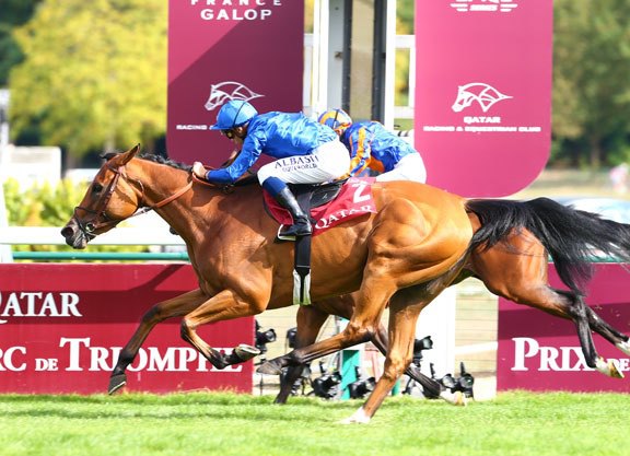 It's All About Dubawi