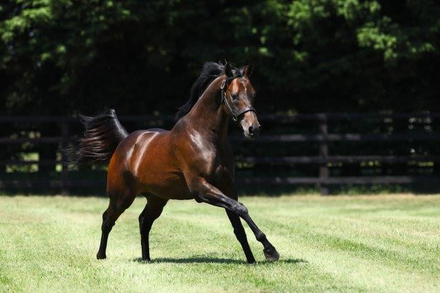 TIME TEST: Seven Winners Eight Days