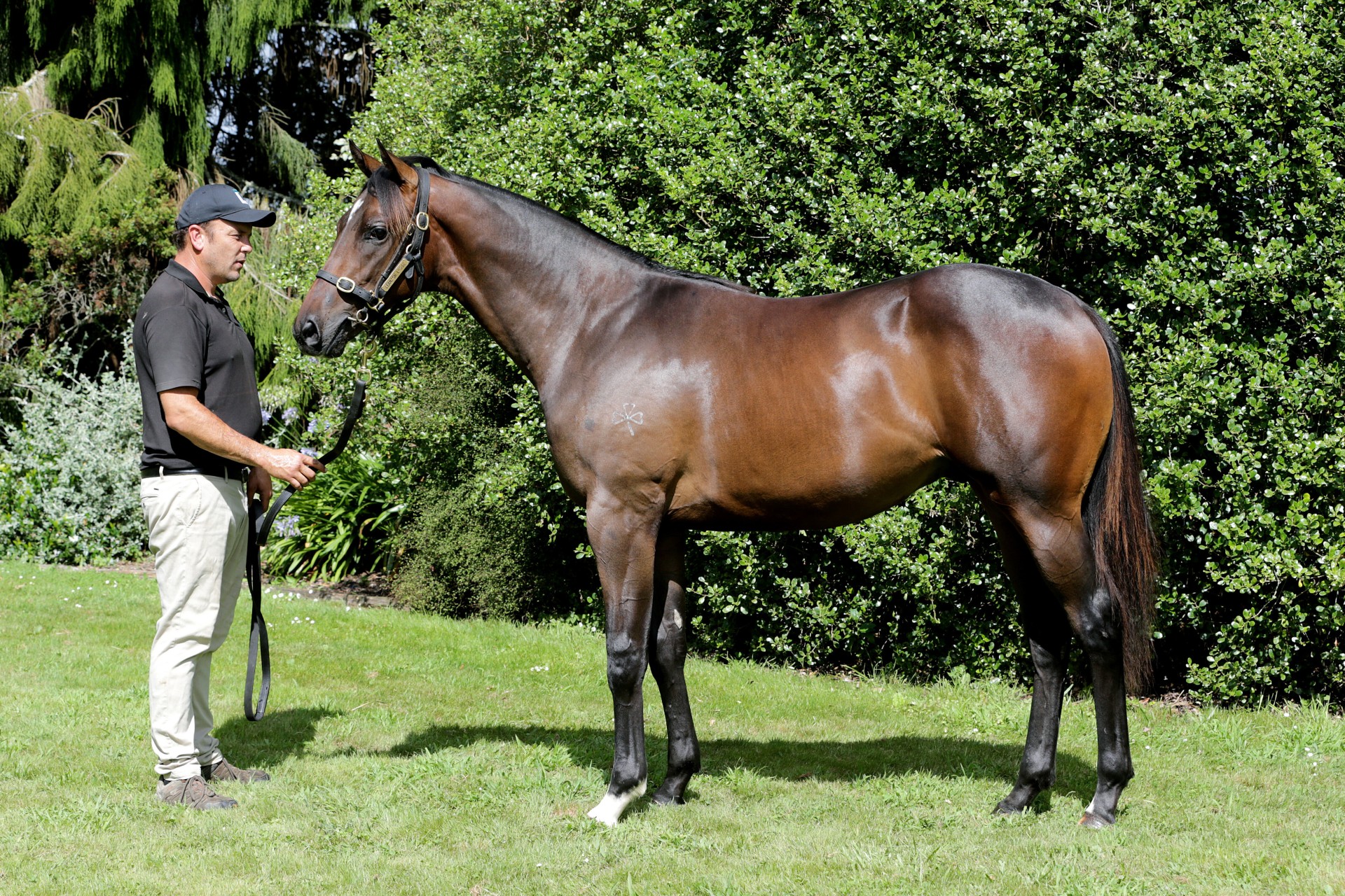 Time Test Sets Book 2 Alight